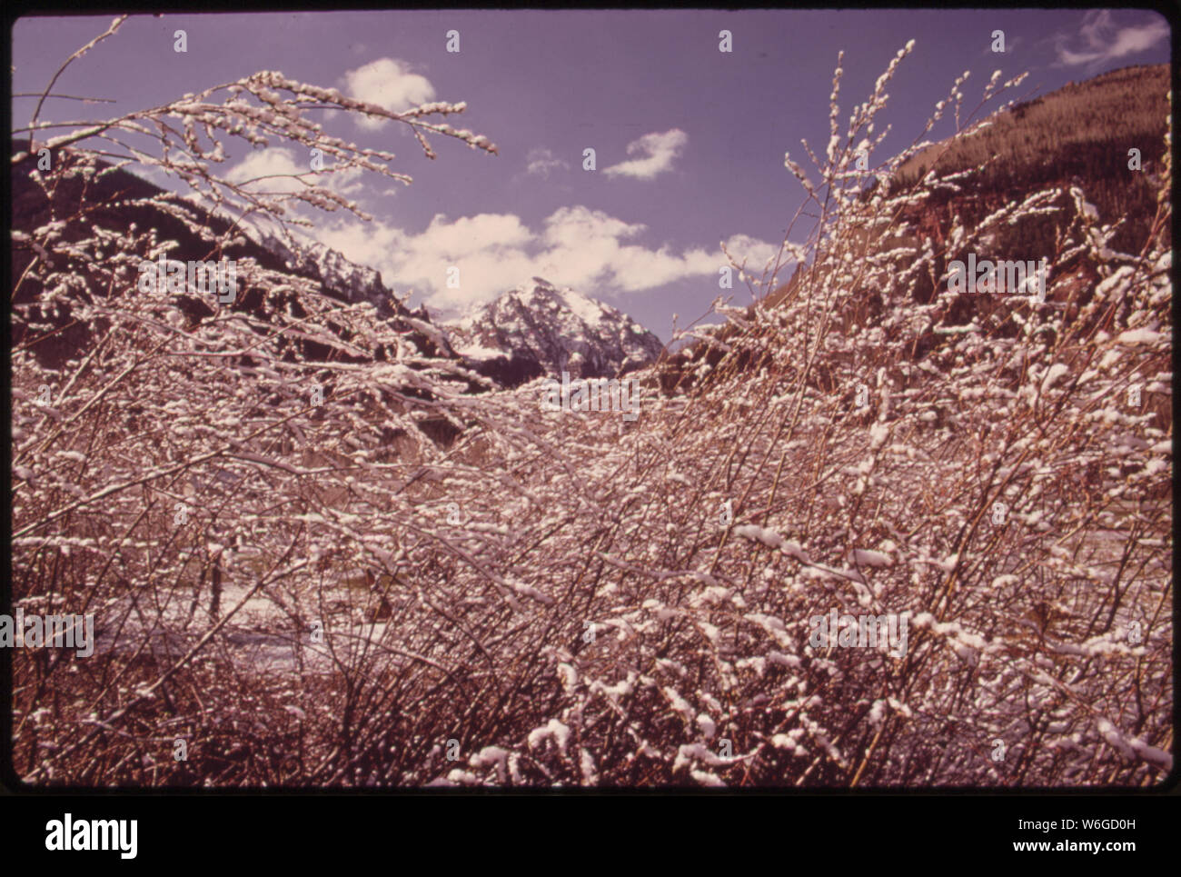 EARLY SPRING SNOW STORM Stock Photo - Alamy