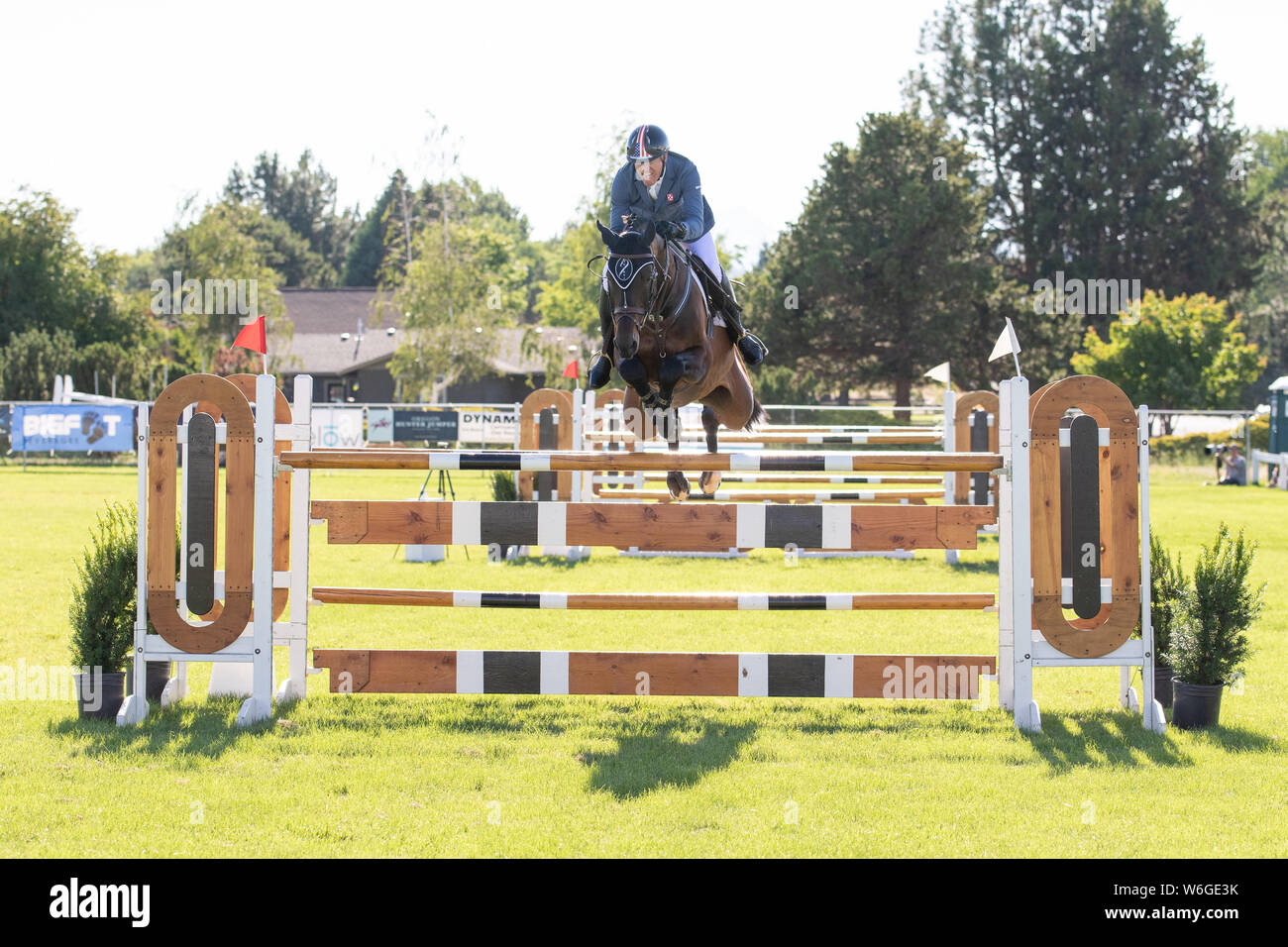 English horse show hi-res stock photography and images - Alamy