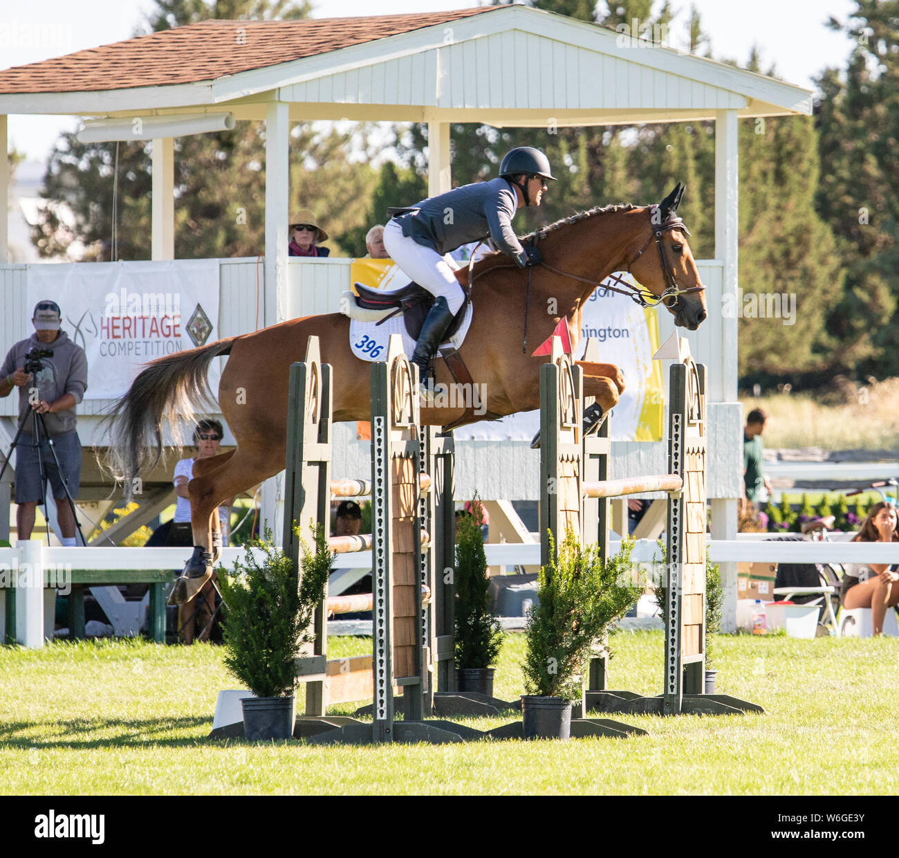 English horse show hi-res stock photography and images - Alamy