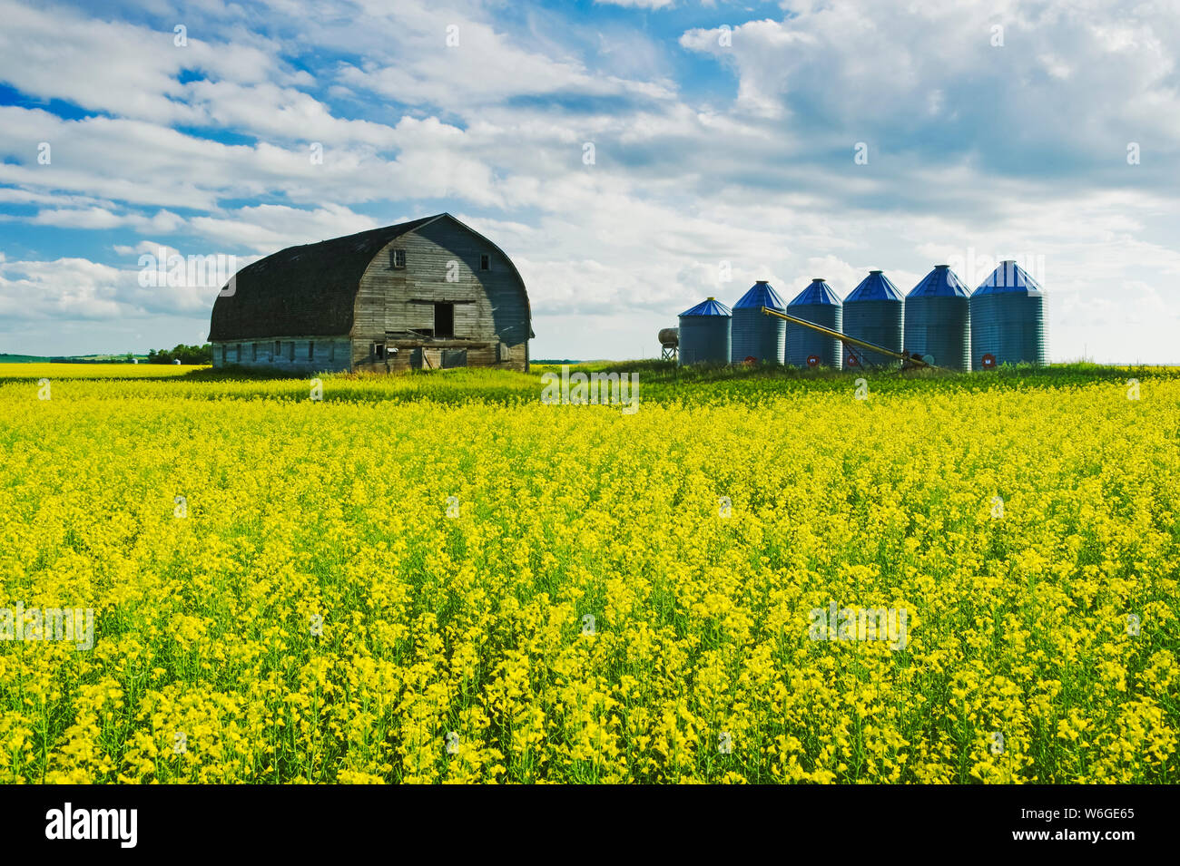Old barn farm grain bin hi-res stock photography and images - Alamy