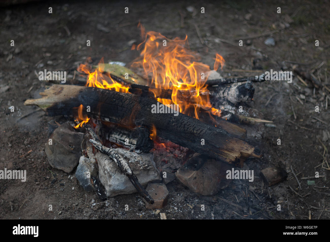 A small campfire made up of twigs and branches with rocks surrounding ...