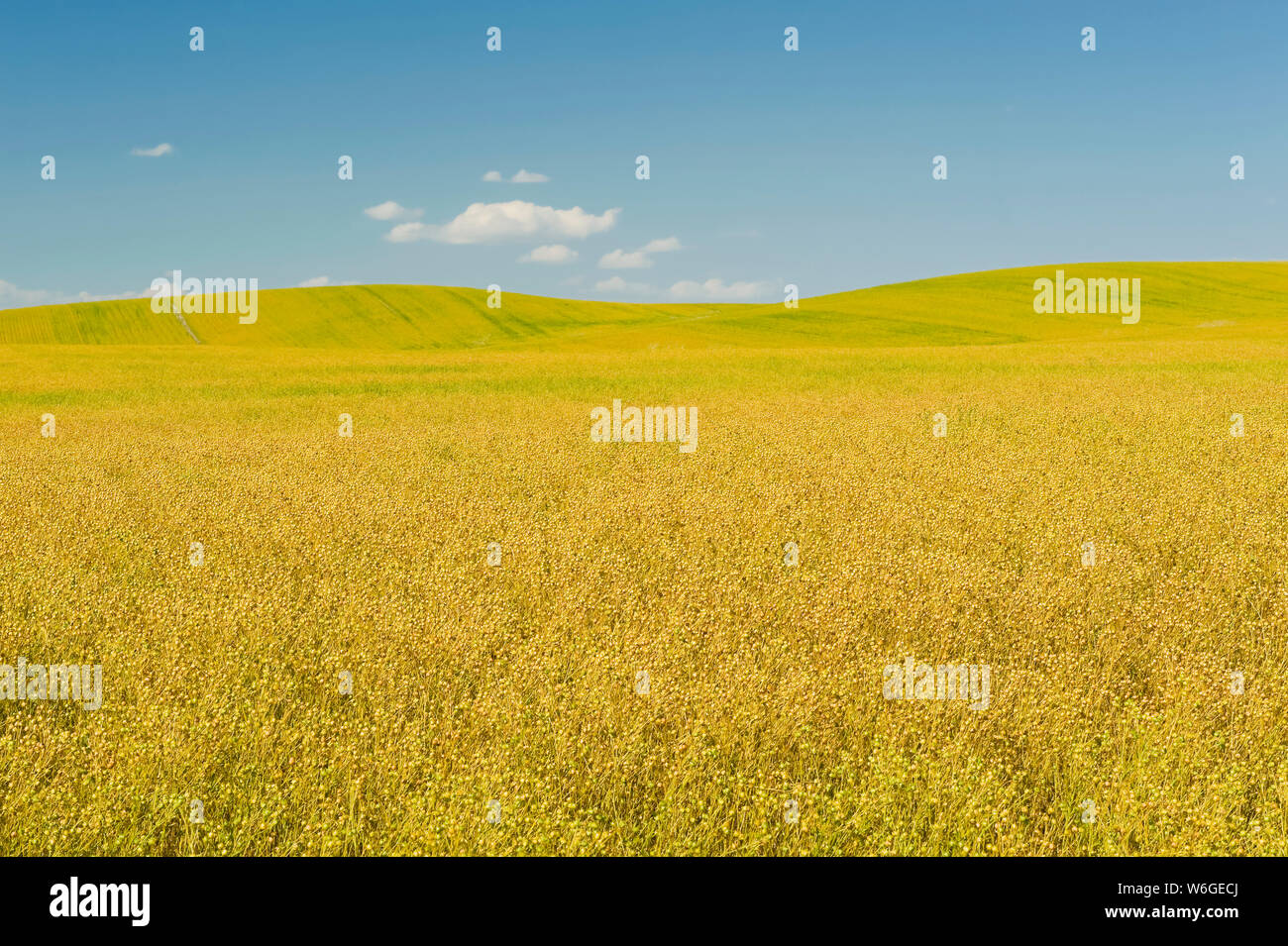 Ponteix hi-res stock photography and images - Alamy