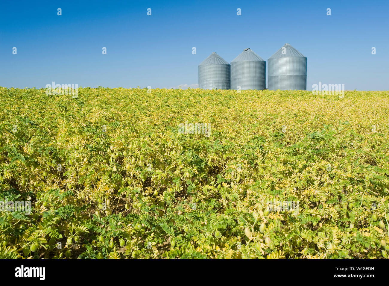 Three Silos Farm High Resolution Stock Photography and Images - Alamy