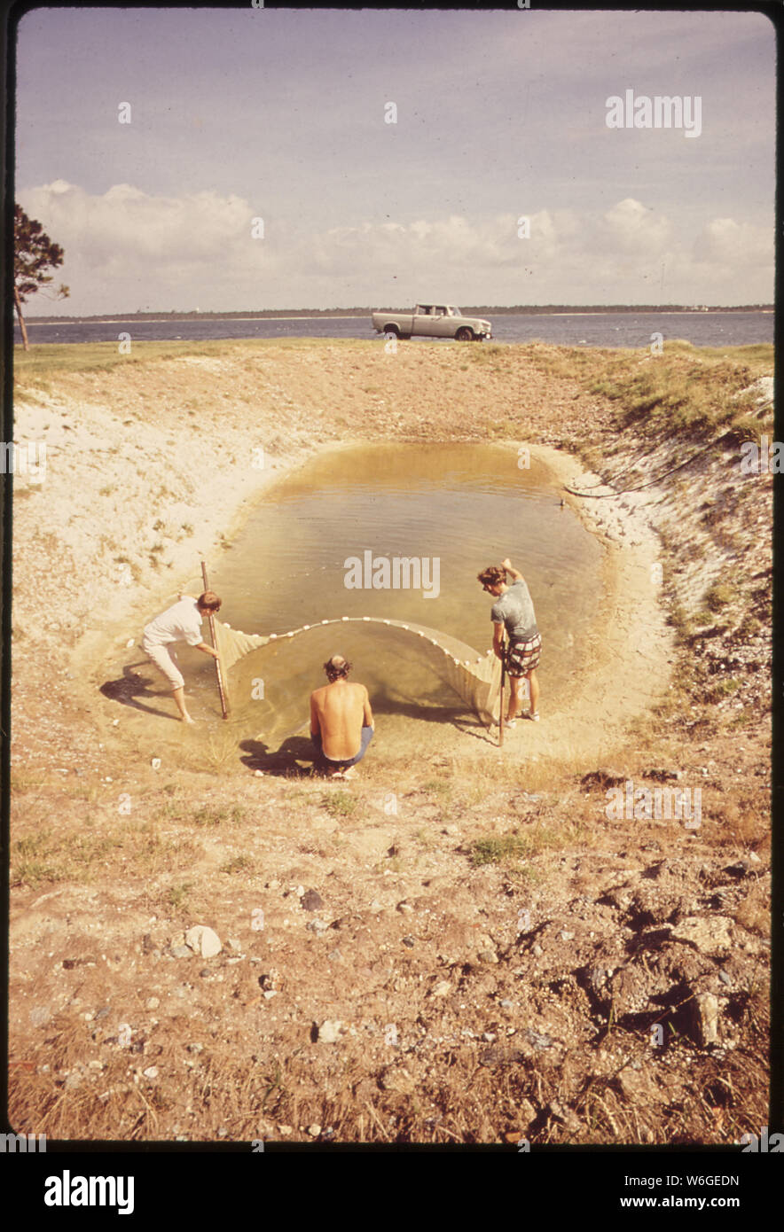 Seining in culture pond hi-res stock photography and images - Alamy Seining in culture pond hi-res stock photography and images - Alamy