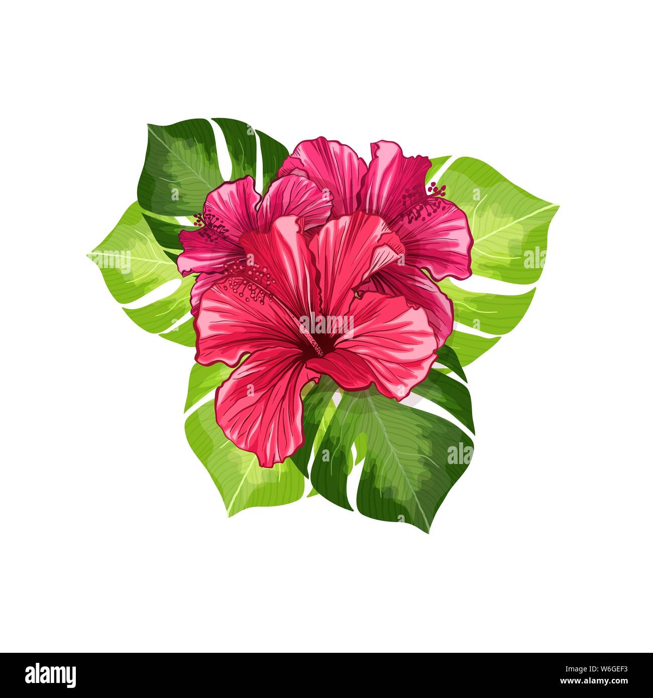 Hibiscus Cut Out Print Out