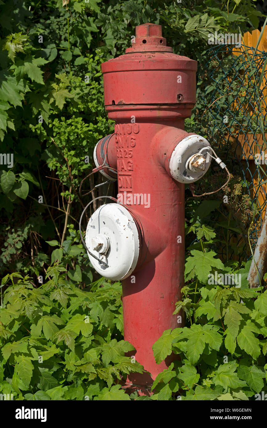 Water stand pipe fire hydrant hi-res stock photography and images - Alamy