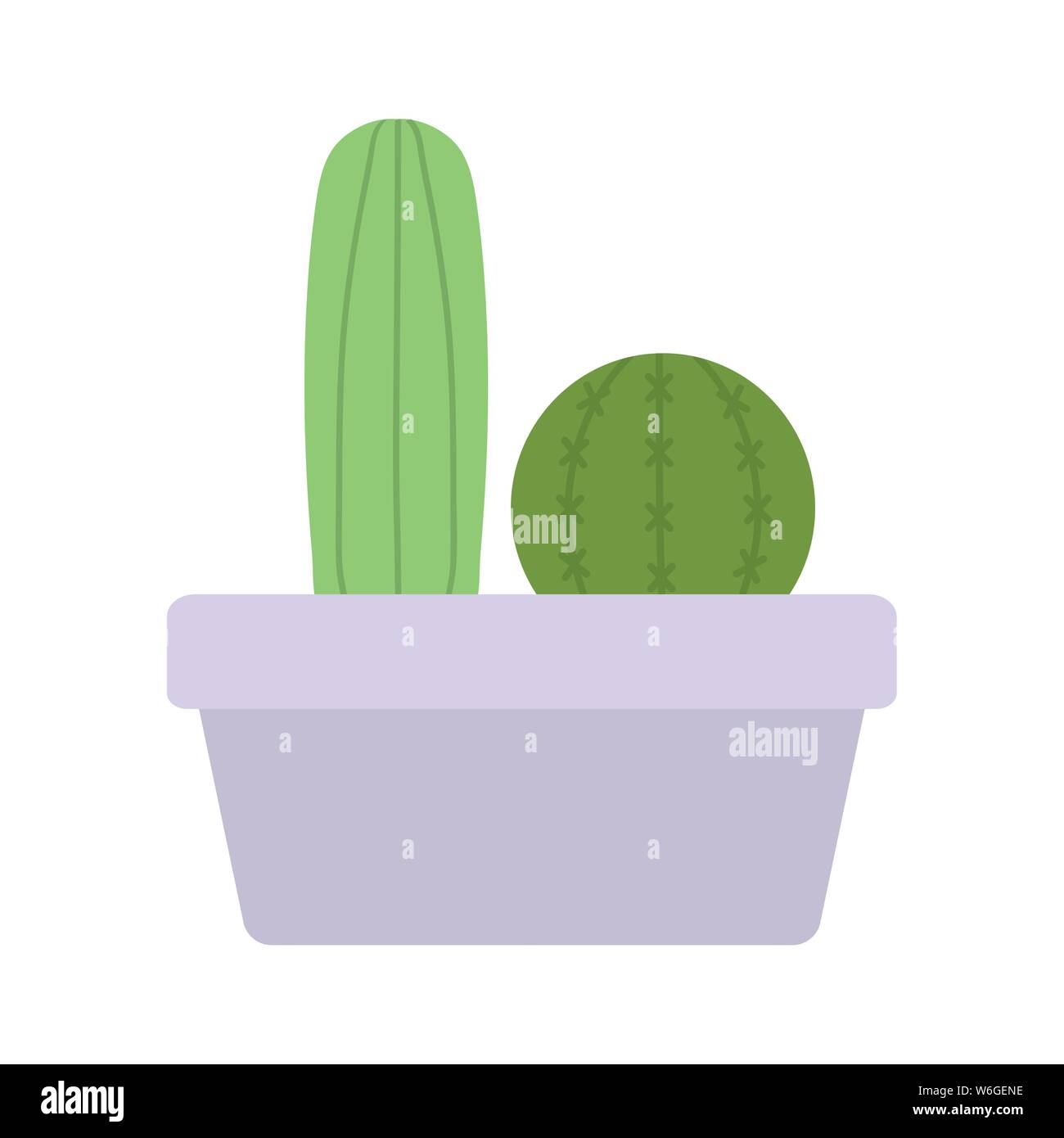 exotic cactus plants in square ceramic pot vector illustration design ...