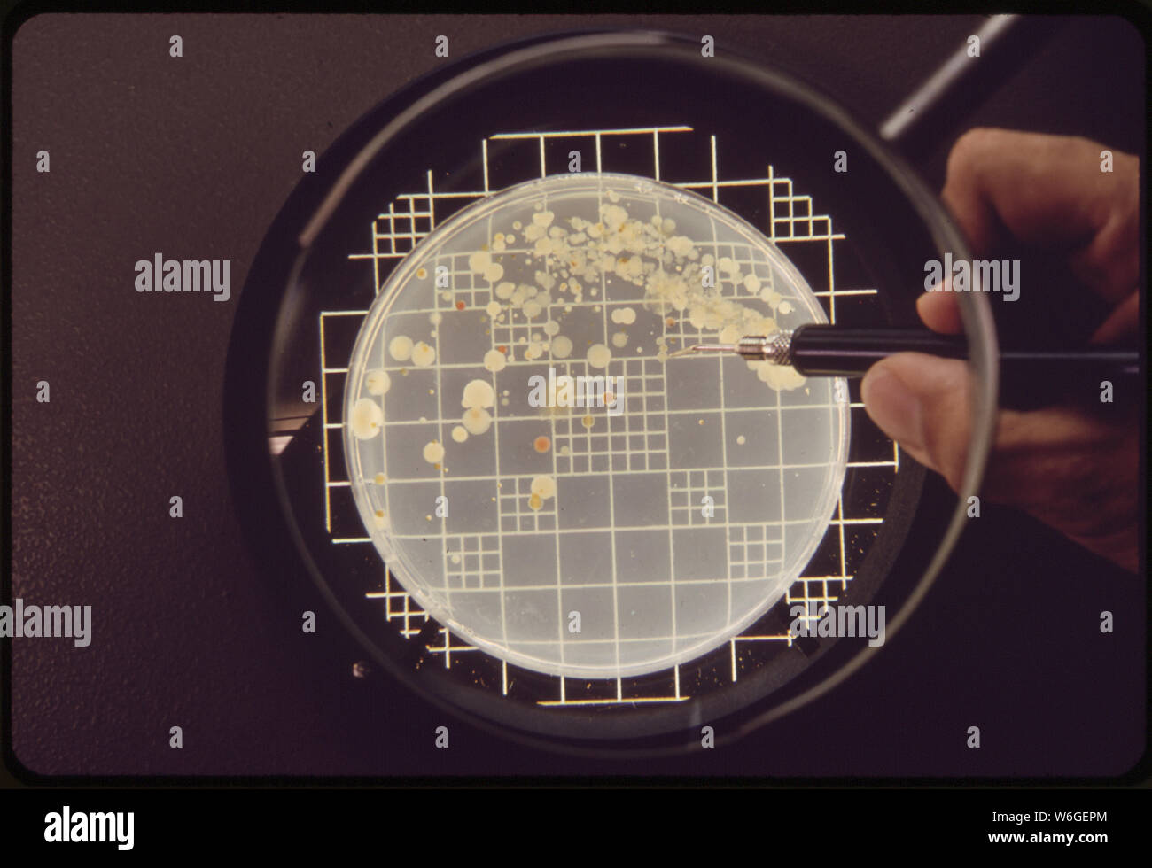 EPA GULF BREEZE LABORATORY: THE MICRO-BIOLOGY LAB. TAKING A BACTERIA ...