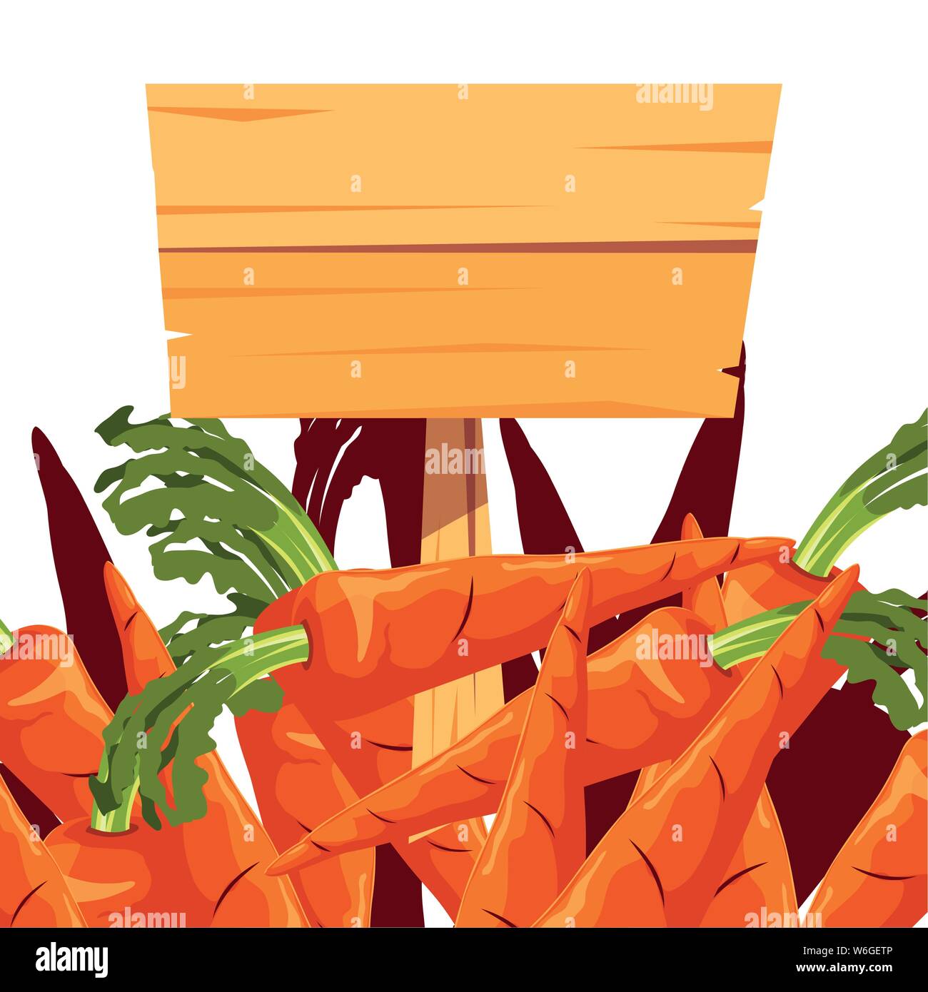 carrot fresh vegetable farm wooden placard vector illustration Stock ...