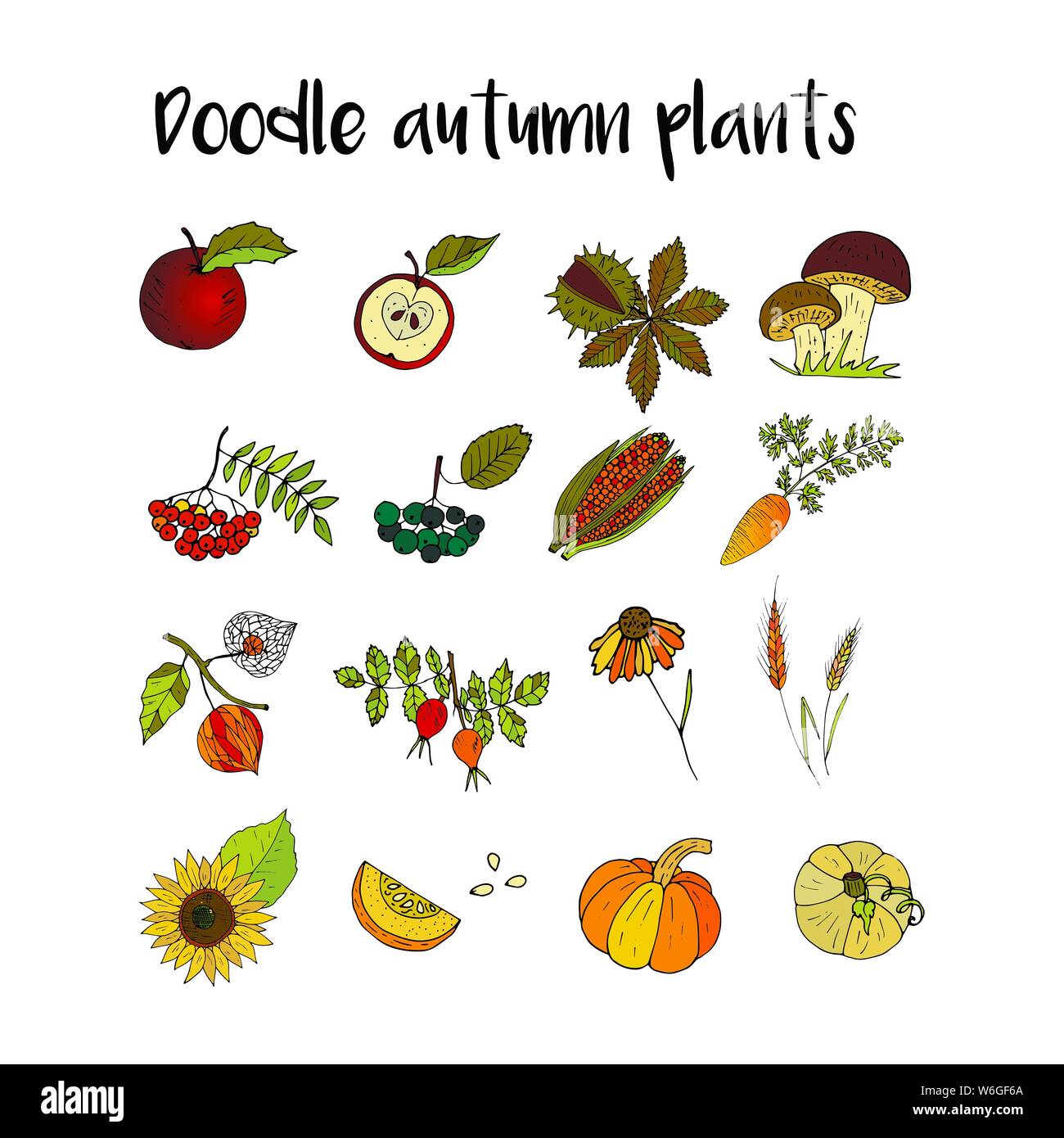 Handdrawn unique autumn icons. Vector doodle illustrations. Perfect for ...