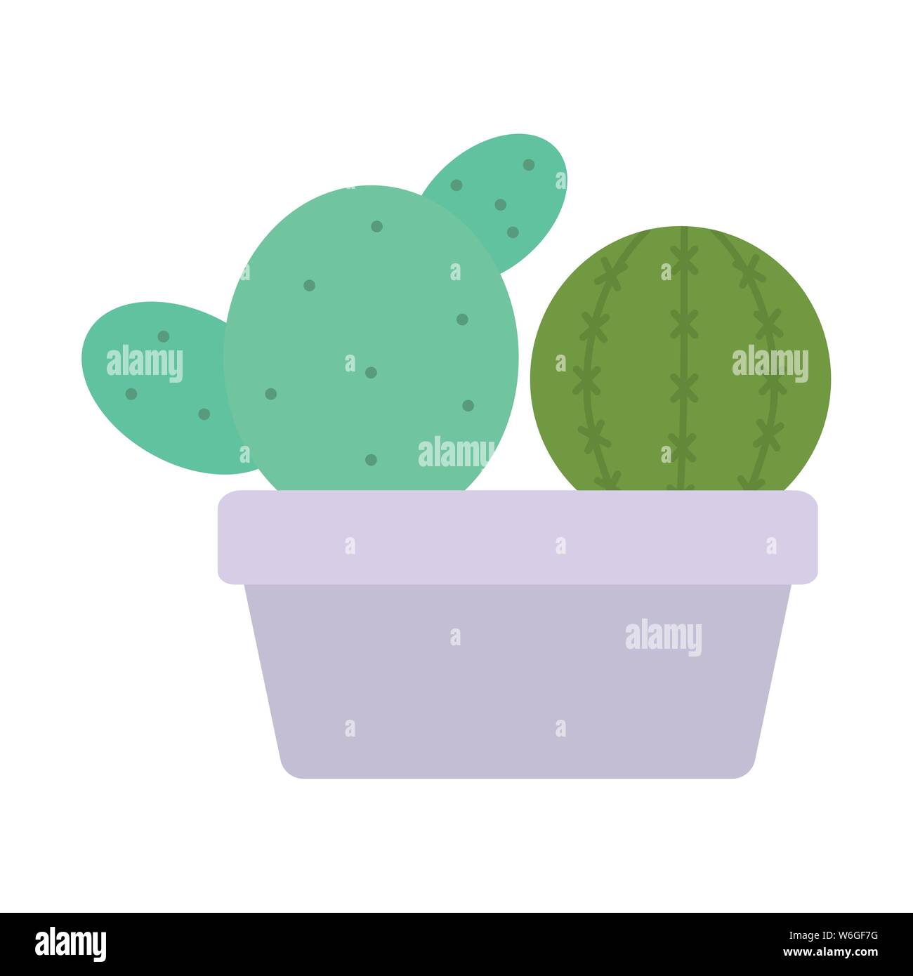exotic cactus plants in square ceramic pot vector illustration design ...