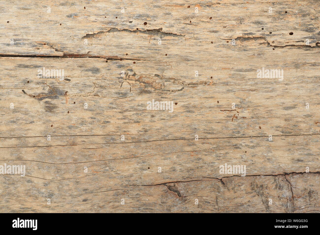 Wood texture Background, top view wooden panel for your text or design ...