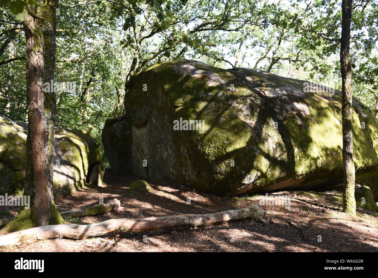 Pierre aux Neuf Gradins in the Creuse department in the Nouvelle ...