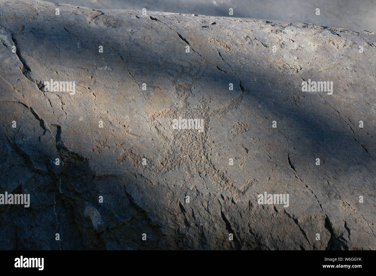 Ancient rock engraving in Camonica Valley, the "running priest ...