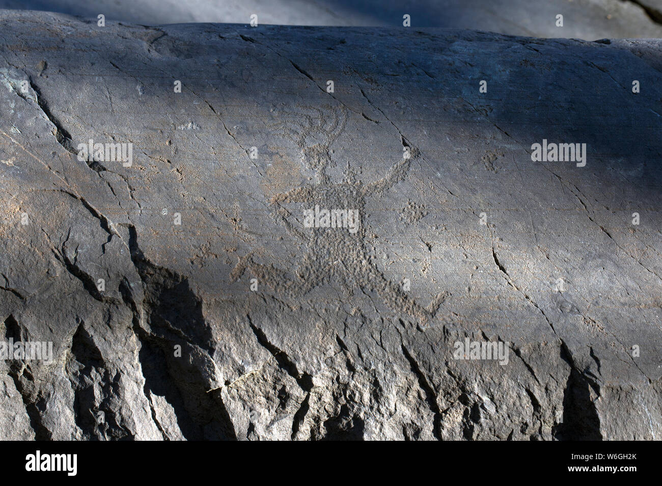 Ancient rock engraving in Camonica Valley, the "running priest ...