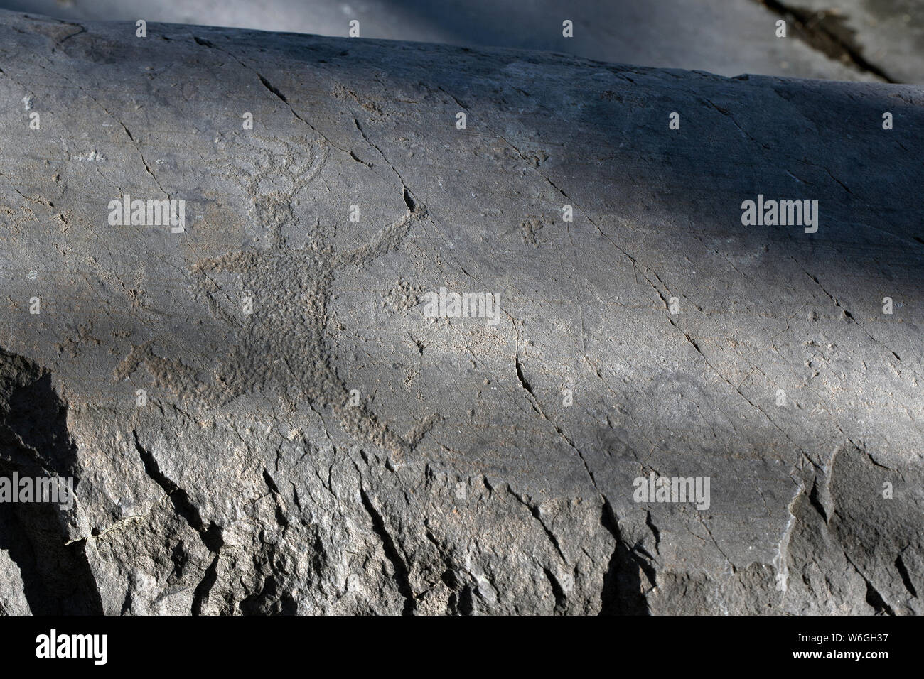 Ancient rock engraving in Camonica Valley, the "running priest ...