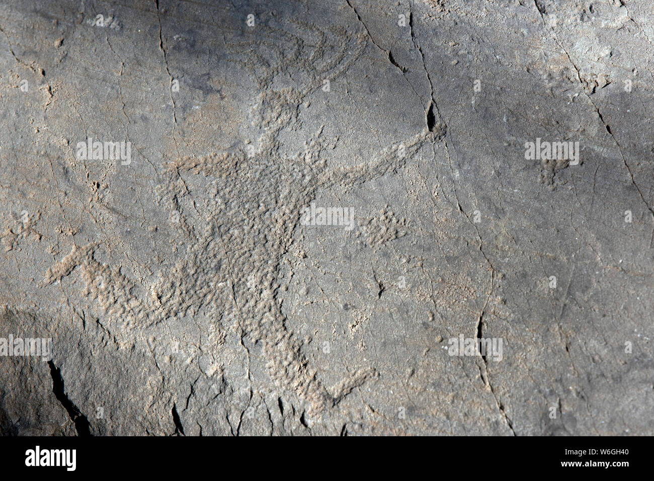 Ancient rock engraving in Camonica Valley, the "running priest ...
