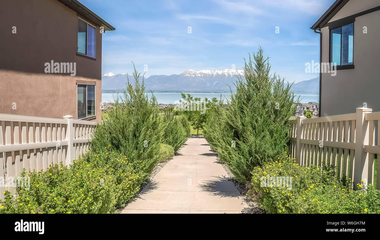 Panorama frame Paved pathway in the middle of plants wooden fence and ...