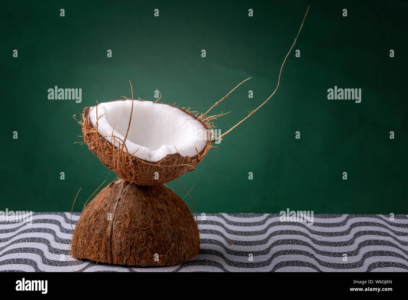 Coconut halves forming a chalice with the outer brown shell and inner ...