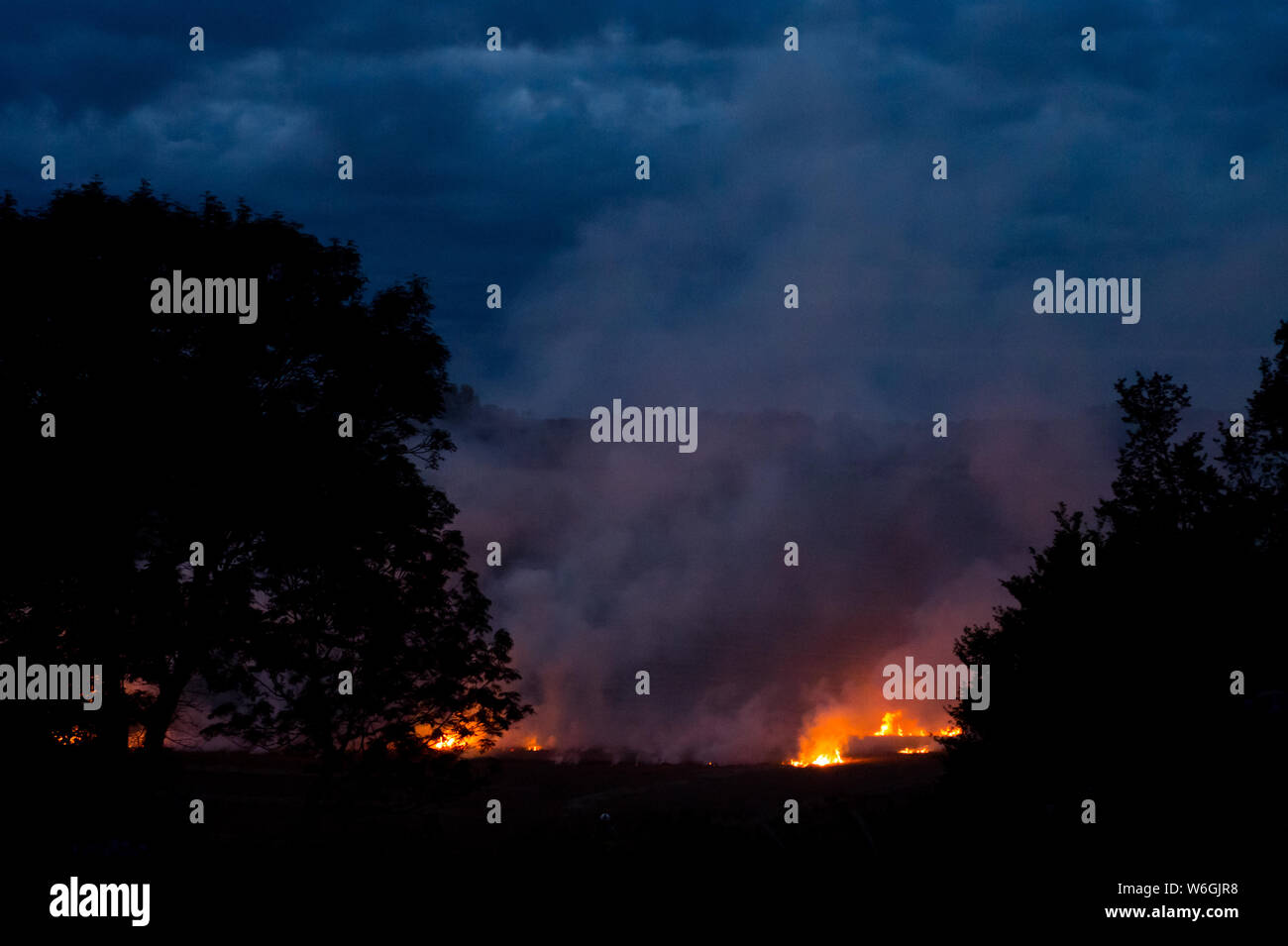 Sele farm hi-res stock photography and images - Alamy