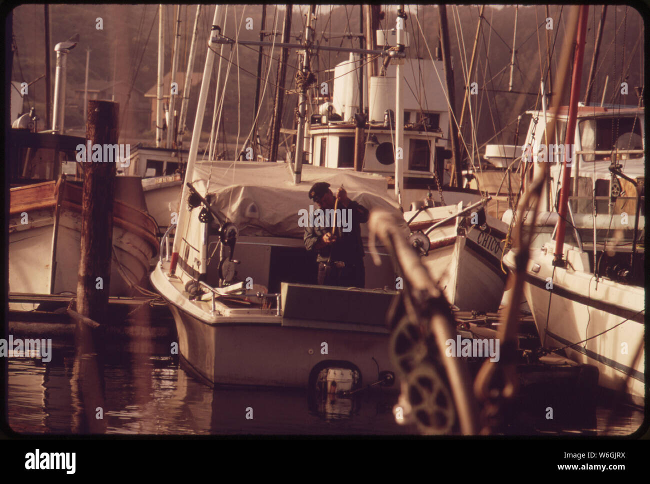 FISHING VESSELS, BODEGA BAY HARBOR. HILLS BEYOND BAY HAVE BEEN SELECTED ...