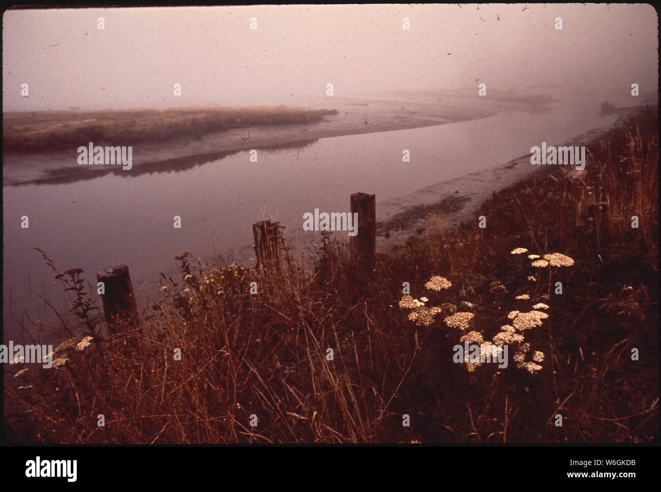 FOG OVER ESTUARY Stock Photo - Alamy