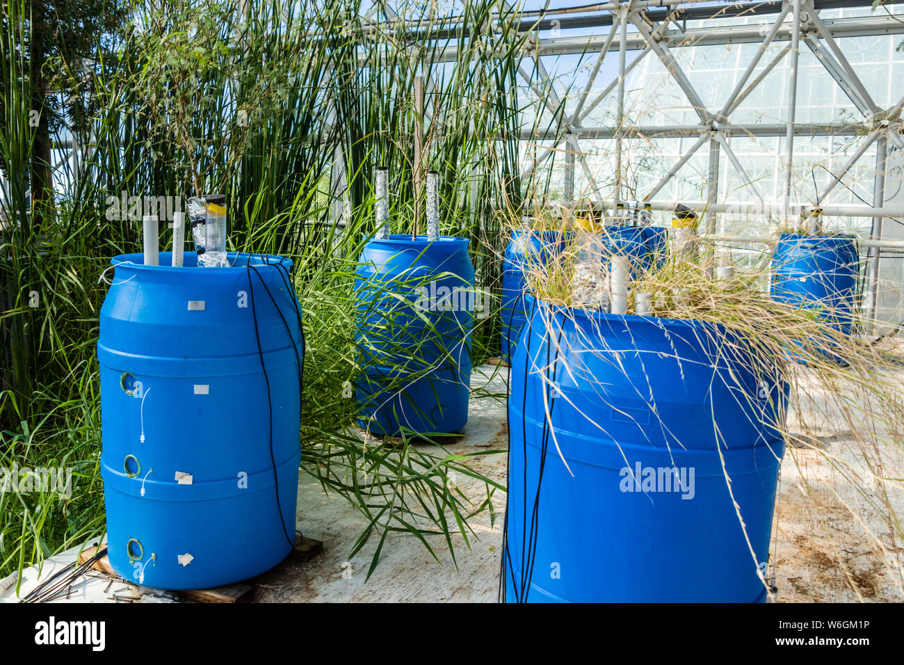 Human and biosphere hi-res stock photography and images - Alamy