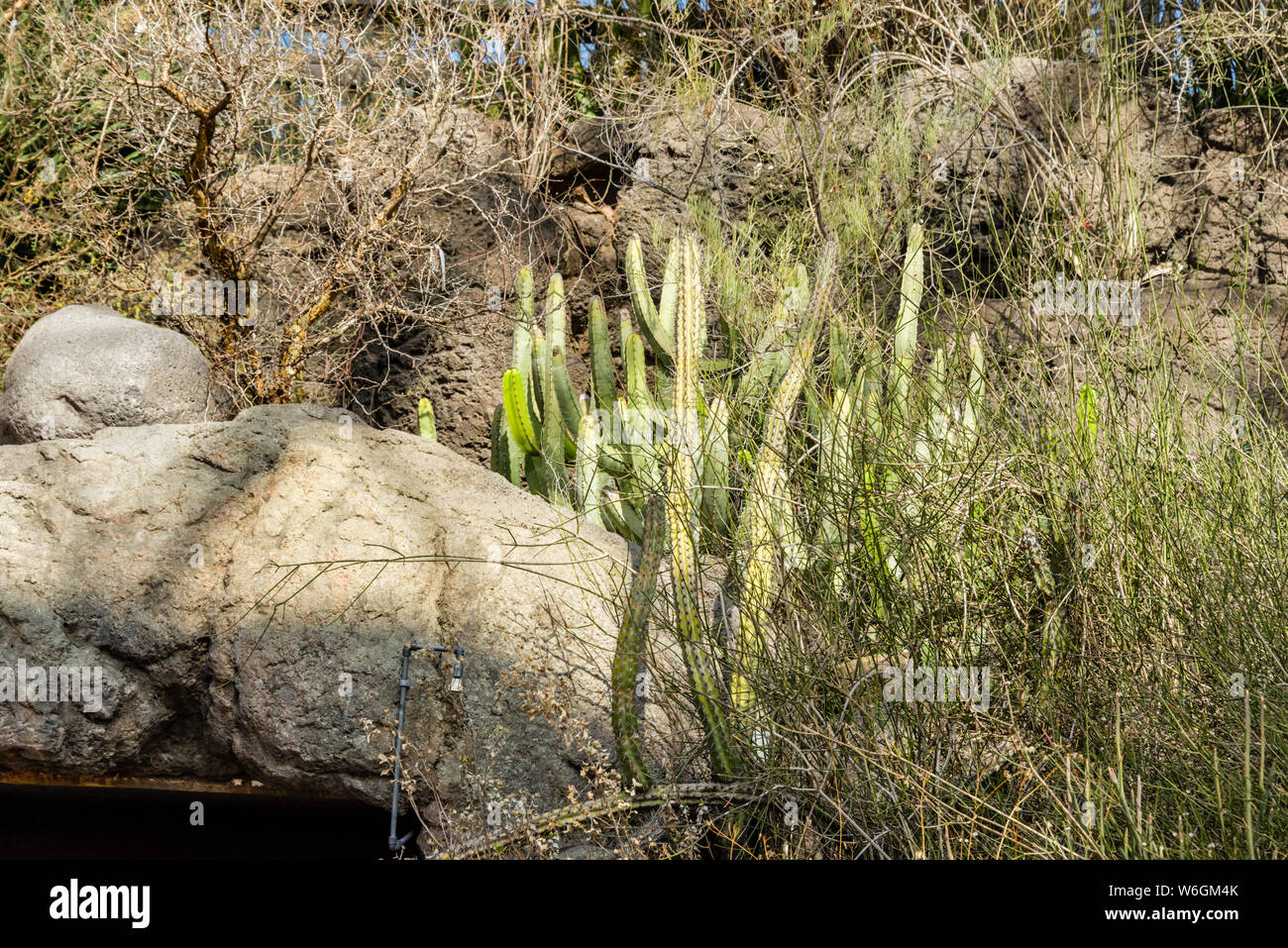 Biosphere 2 Desert Stock Photo - Alamy
