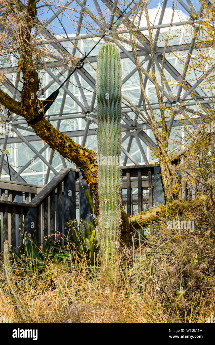 Biosphere 2 Desert Stock Photo - Alamy