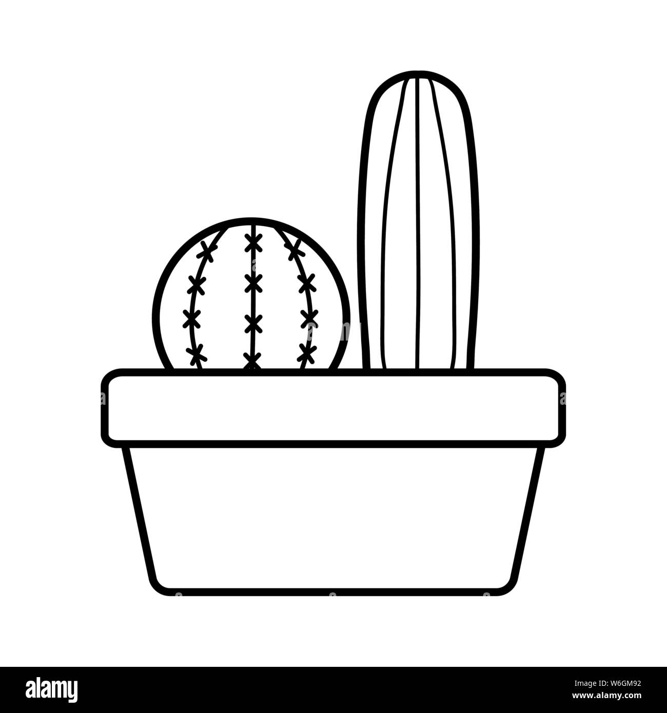 exotic cactus plants in square ceramic pot vector illustration design ...