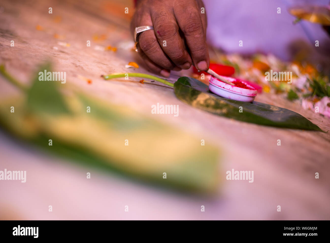 Pan Pata High Resolution Stock Photography and Images - Alamy