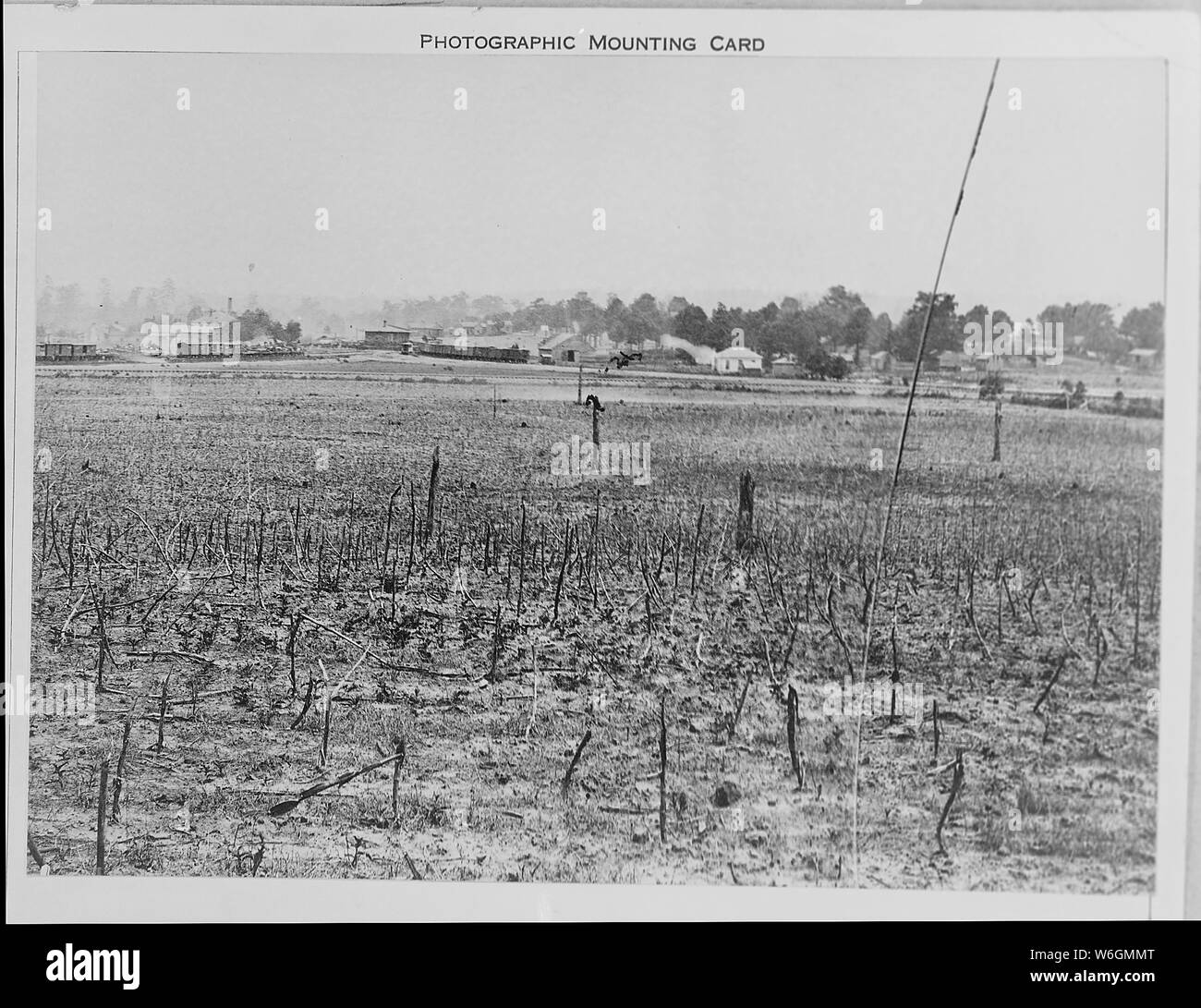 Natural open grass land Black and White Stock Photos & Images - Alamy