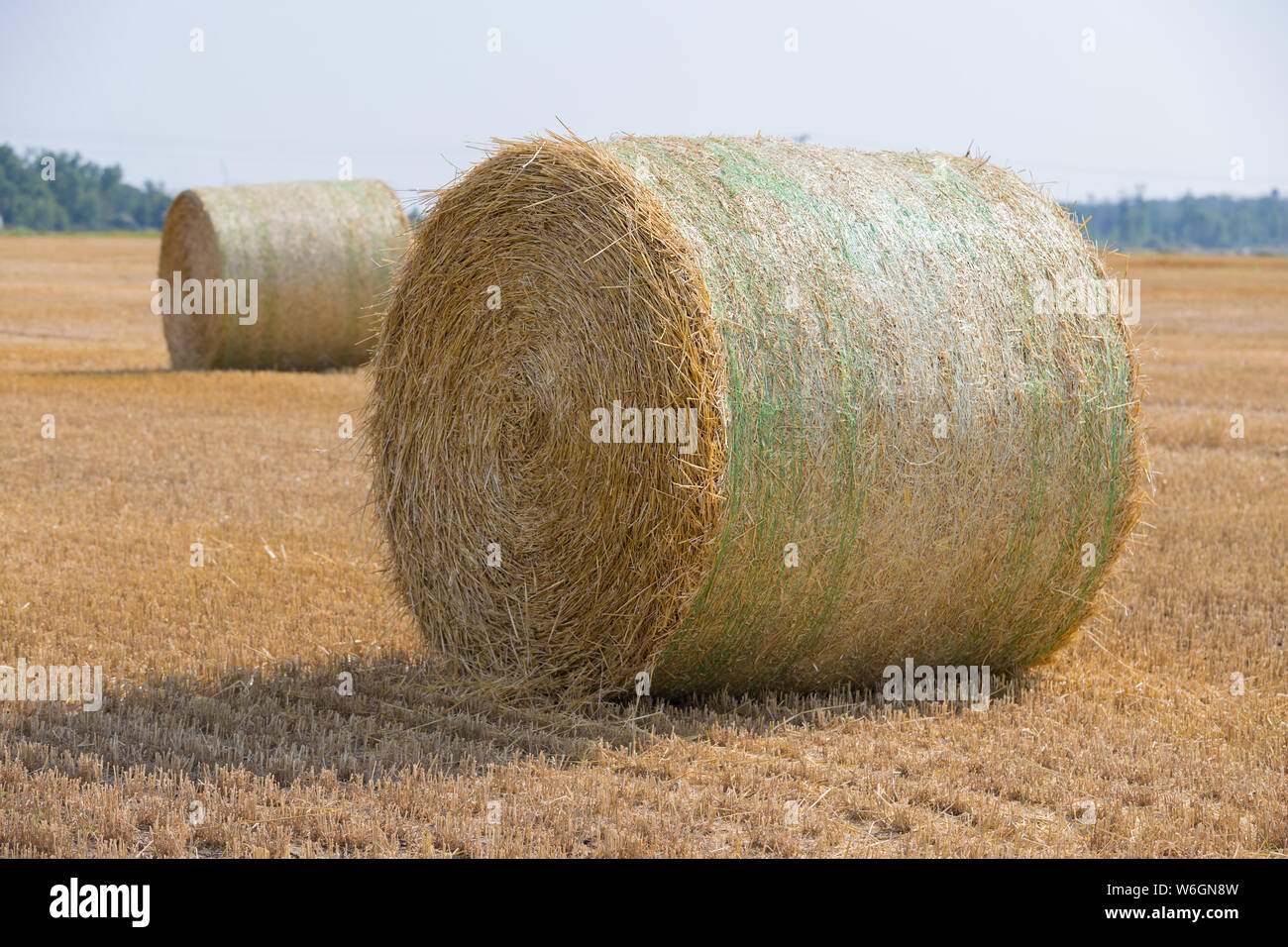 Bales of straw in a large open field Stock Photo - Alamy