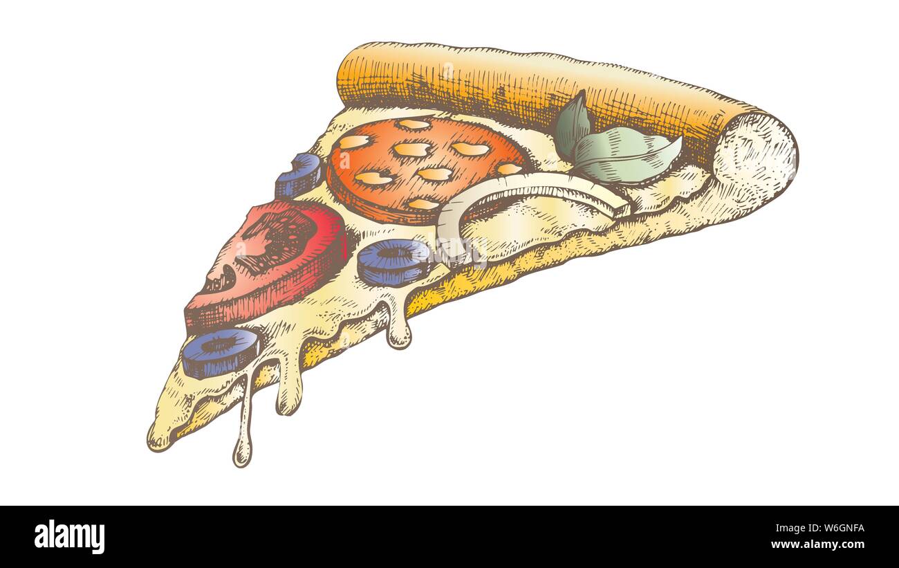 Color Delicious Italian Slice Pizza Hand Drawn Vector Stock Vector ...