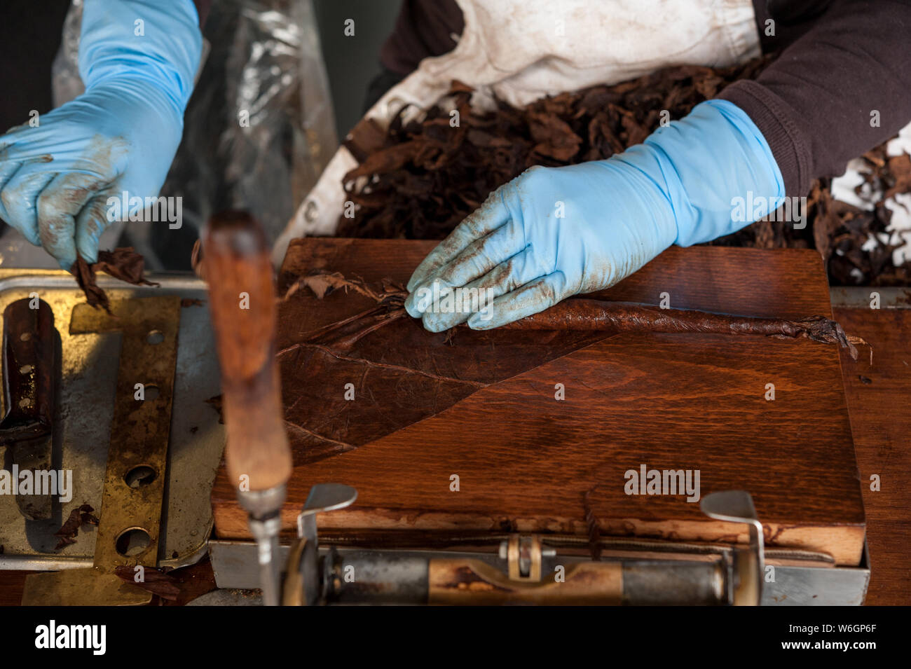 Cigar manufacturing hi-res stock photography and images - Alamy