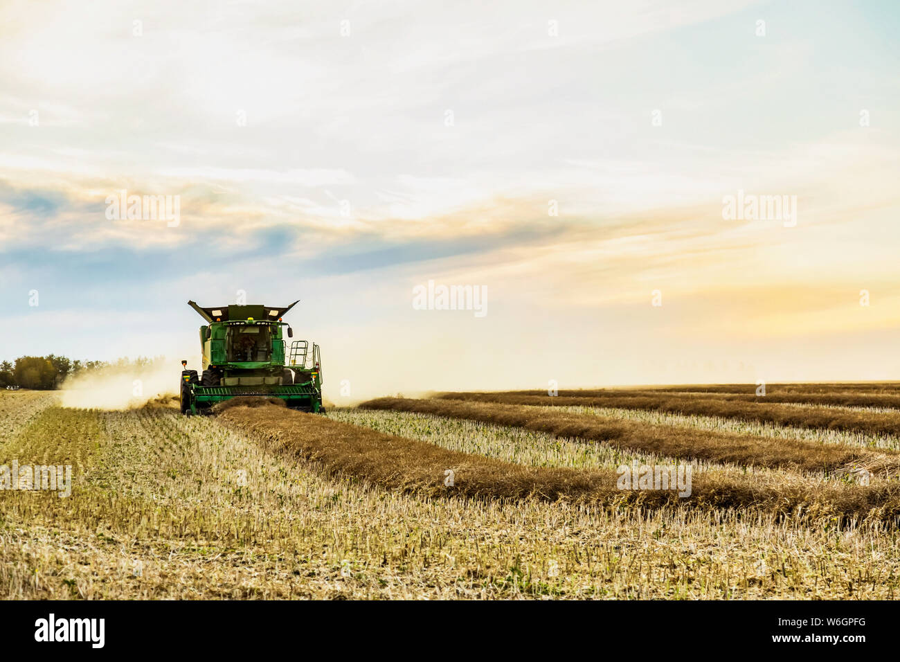 Genetically modified crop hi-res stock photography and images - Alamy