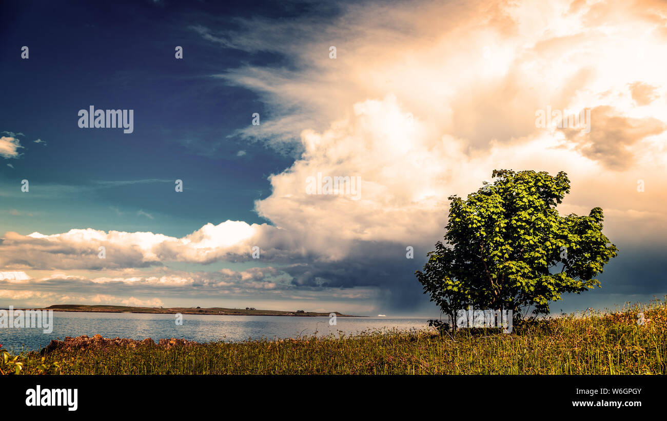 Copeland island hi-res stock photography and images - Alamy