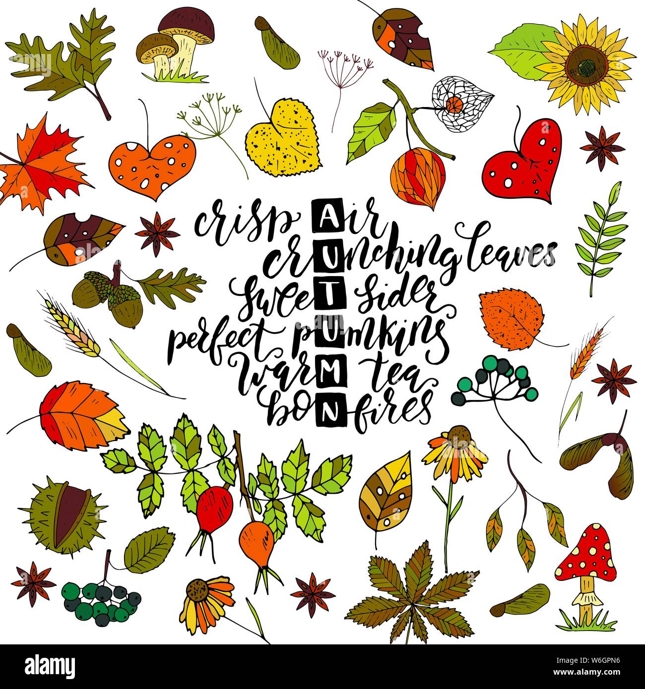 Handdrawn unique autumn card with brush lettering quote. Vector doodle ...