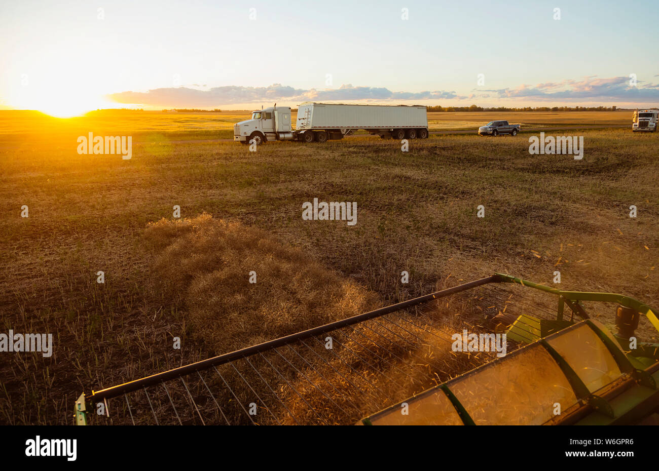 Grain semi truck hi-res stock photography and images - Alamy