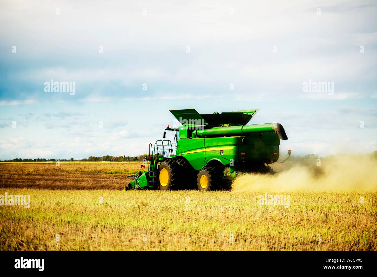View from the side of a combine harvesting canola; Legal, Alberta ...