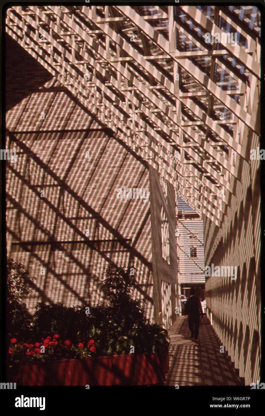 GREENHOUSES ARE PART OF THE NEW ADDITION TO THE IRWIN UNION BANK Stock ...