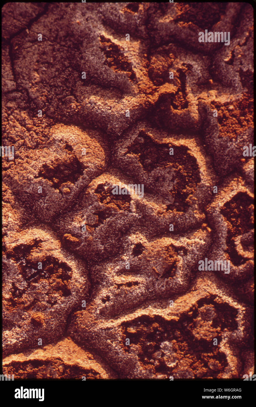 GROUND FORMATION AT THE LESLIE SALT PONDS Stock Photo - Alamy