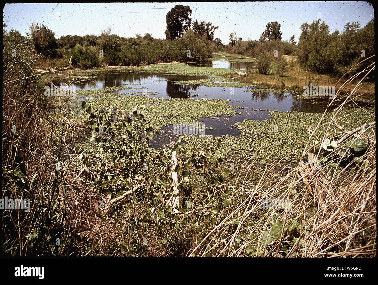 Fish blocking hi-res stock photography and images - Alamy