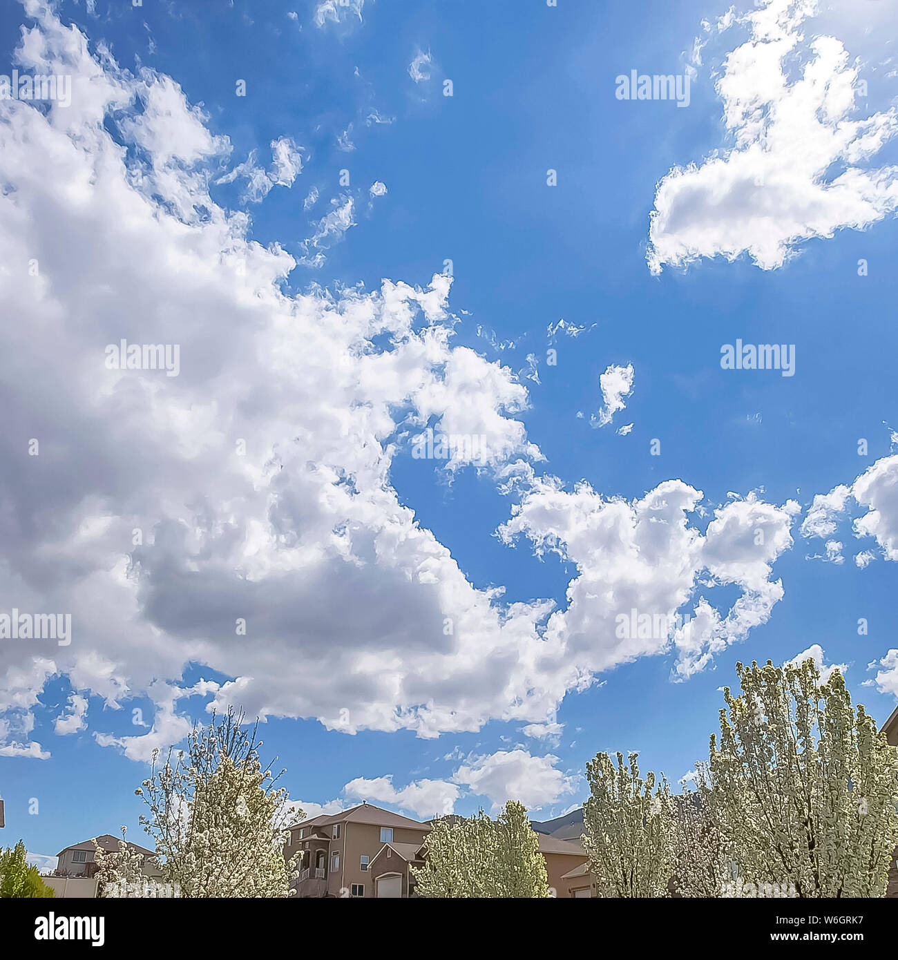 Square frame Paved road and homes on a neighborhood under cloudy blue ...