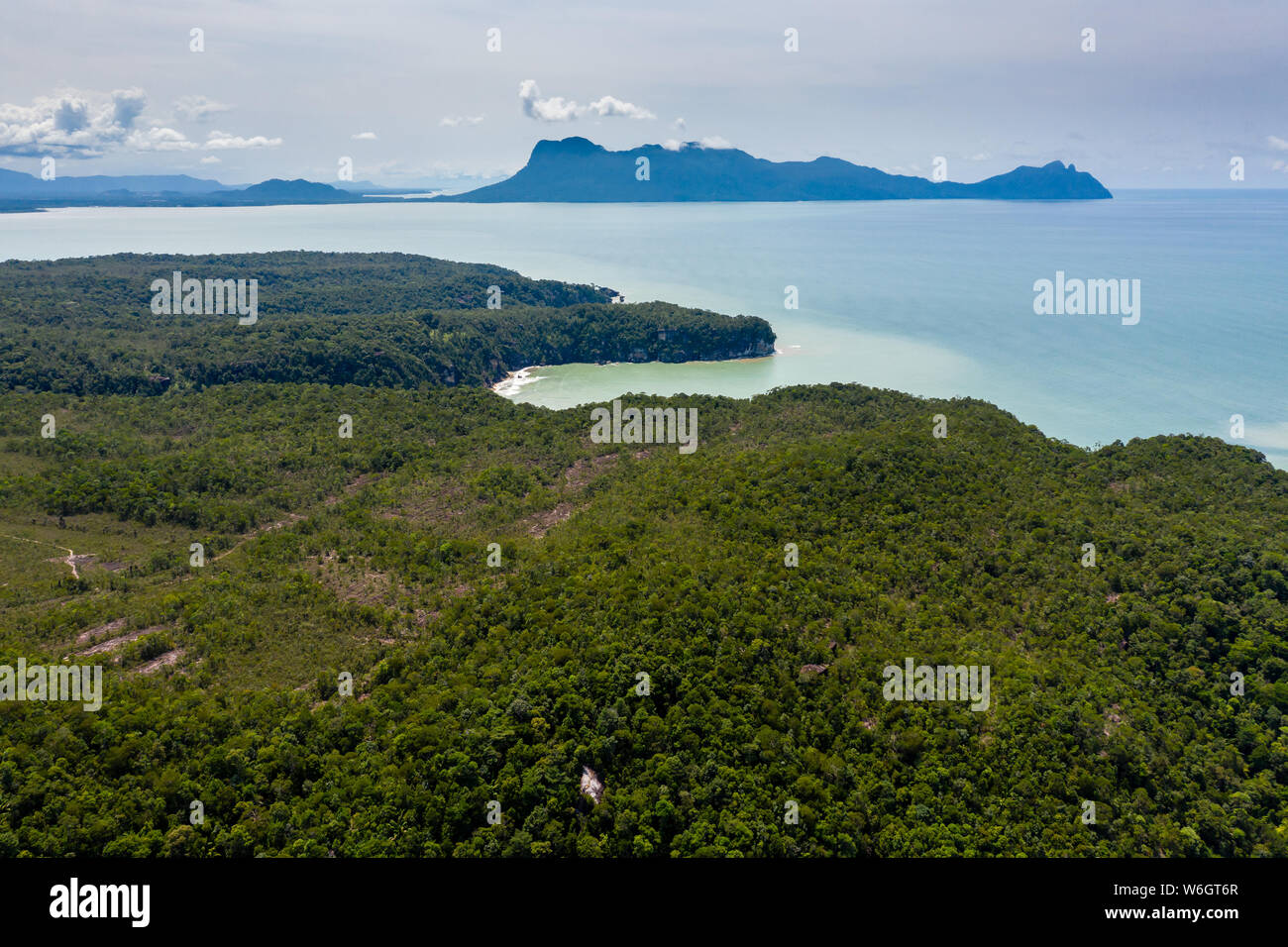Aerial drone view of dense jungle and a muddy ocean on a remote ...