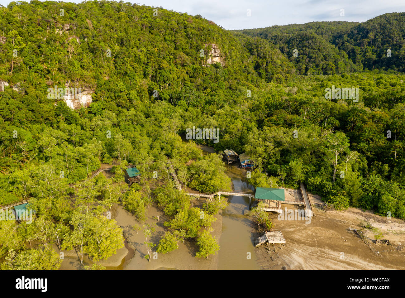 Equatorial rain forest hi-res stock photography and images - Alamy