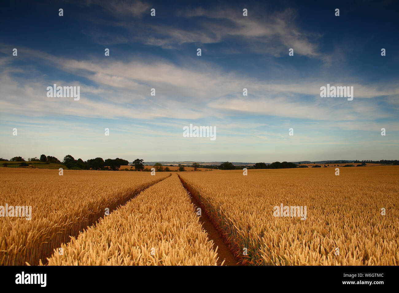 Countryside crops sunny hi-res stock photography and images - Alamy
