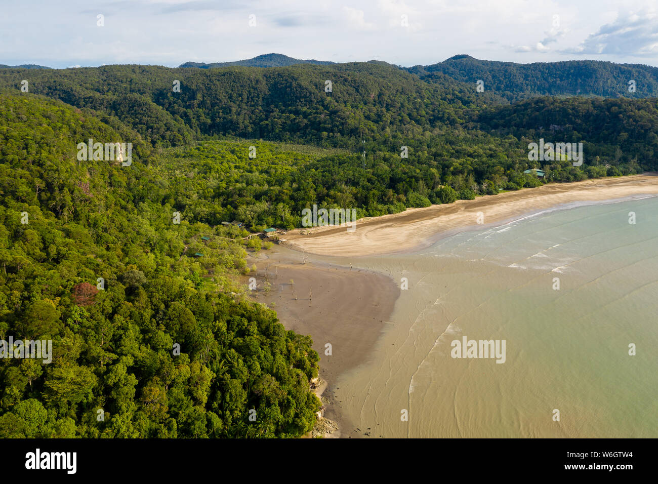 Coastal Rainforest Stock Photos & Coastal Rainforest Stock Images - Alamy