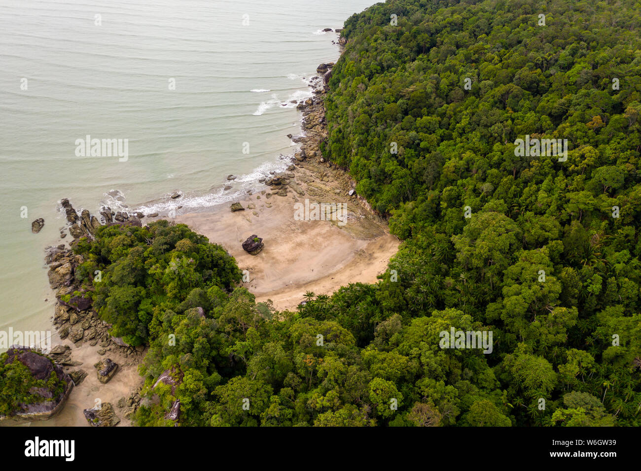 Aerial view of swamp surrounded by trees hi-res stock photography and ...