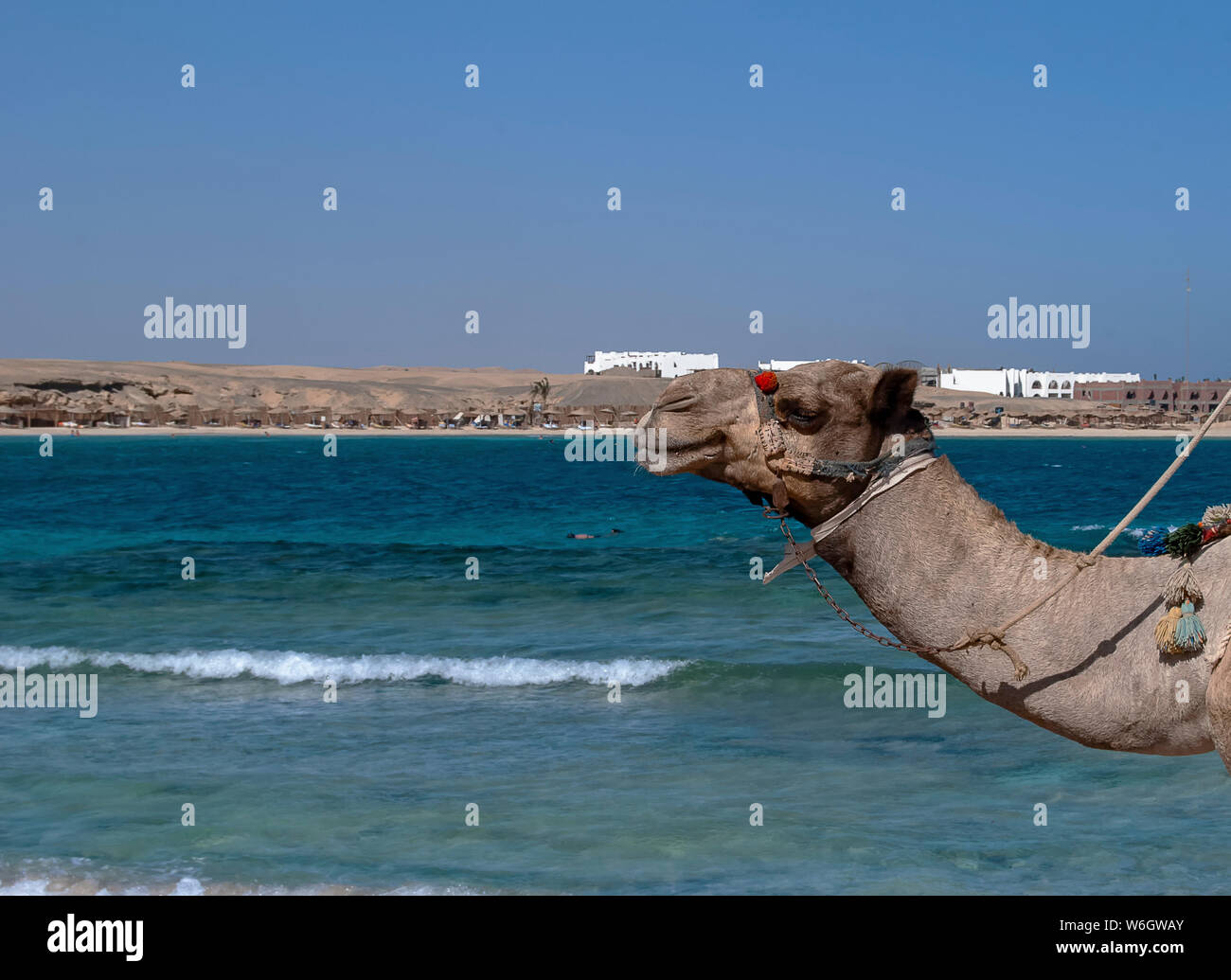 Abu dabab beach hi-res stock photography and images - Alamy